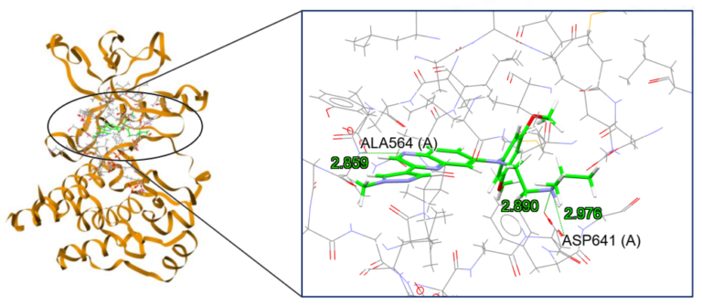 Getting Started with Protein-Ligand Docking Using GOLD | CCDC