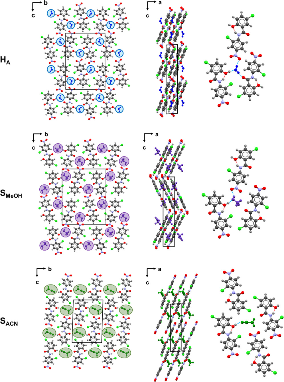 Desolvation Processes in Solvates of Niclosamide | CCDC