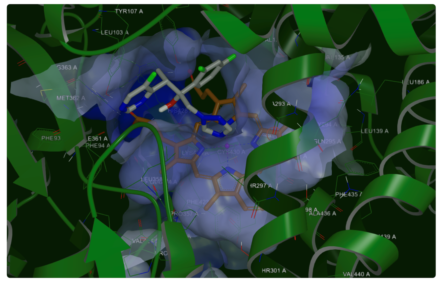 CCDC’s GOLD Protein-Ligand Docking Software Now Integrated with Cadence ...