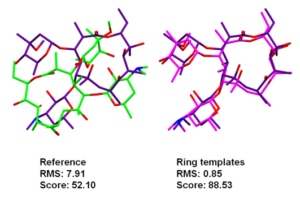 CSD in Action: Exploring Protein–Ligand Docking Improvements in ...